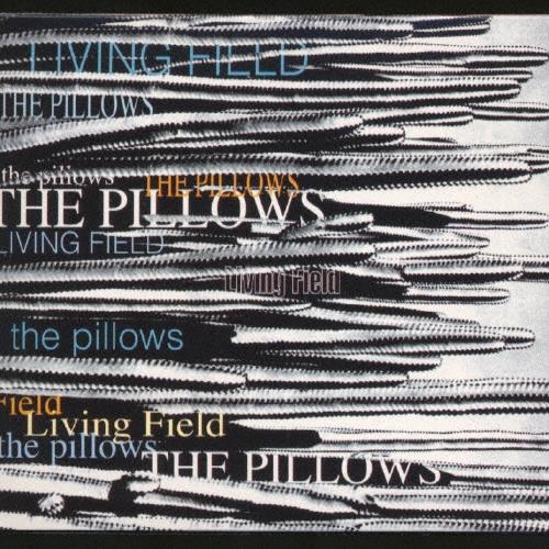 the pillows LIVING FIELD CD ※特典あり : タワーレコード Yahoo!店 - 通販 - Yahoo!ショッピング