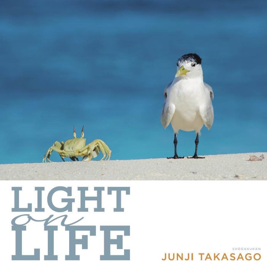 高砂淳二 LIGHT on LIFE Book : タワーレコード Yahoo!店 - 通販 - Yahoo!ショッピング