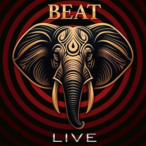 Beat Live (Deluxe) [3CD+Blu-ray Disc]＜完全生産限定盤＞ CD : タワーレコード Yahoo!店 ...