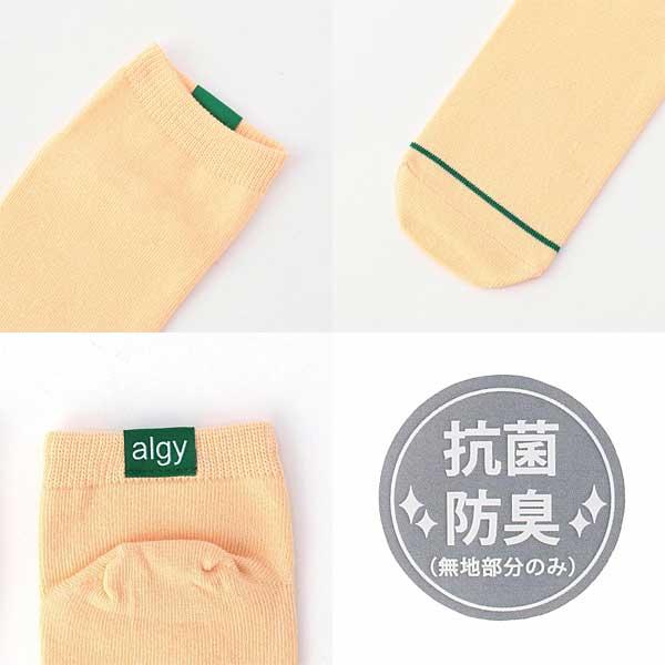algy ALGY アルジー 【抗菌防臭】ちびネームショートソックス 19-21 cm 22-24 cm 3P対象 G354935 : トヨフク子供服店 - 通販 - Yahoo!ショッピング