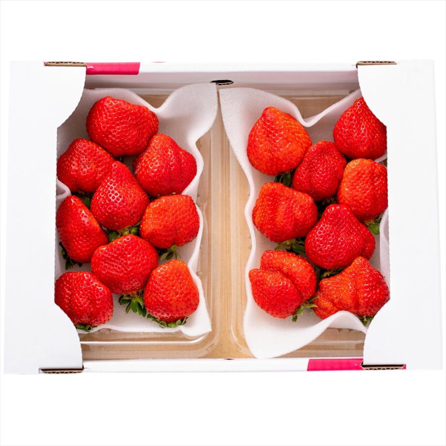 あまおう DX 等級 270g×2パック 合計540g 1箱 2パック入り いちご イチゴ 苺 福岡産 博多あまおう デラックス 大粒 いちごの王様 : 豊洲市場.jp うに かに まぐろ ...