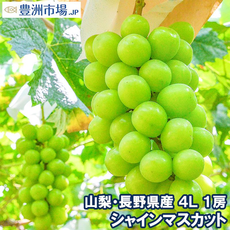シャインマスカット 山梨県 長野県産 種なしシャインマスカット 1房 600g-700g 4Lサイズ 最高級特秀ランク : 豊洲市場.jp うに かに まぐろ 海鮮グルメ - 通販 ...