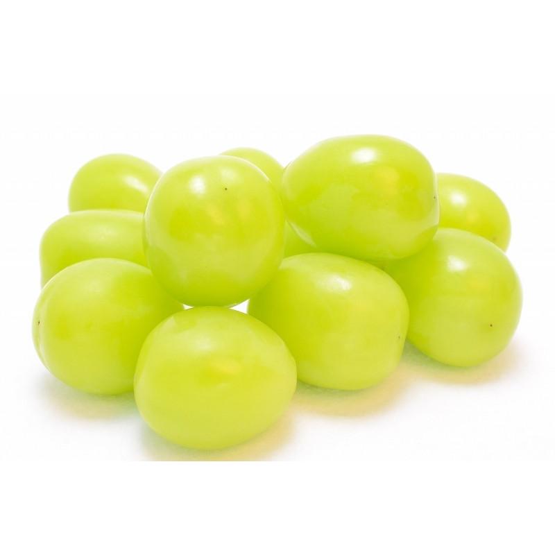 シャインマスカット 山梨県 長野県産 種なしシャインマスカット 1房 600g-700g 4Lサイズ 最高級特秀ランク : 豊洲市場.jp うに かに まぐろ 海鮮グルメ - 通販 ...