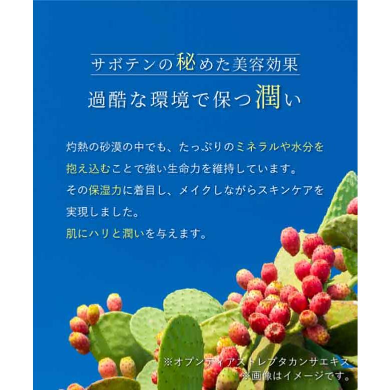 nopa マイベストカラーファンデーション 40g 【保湿クリーム100g特典付き】ノパ 北斗晶プロデュース サボテンエキス配合リキッドファンデーション : トライコレクション - 通販 ...