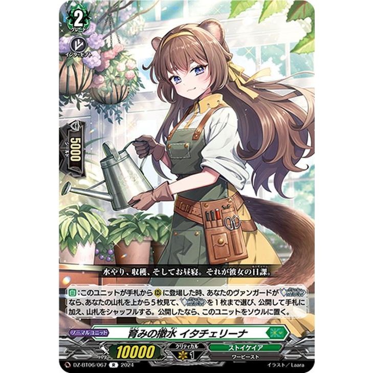 カードファイト!! ヴァンガード 時空創竜 育みの撒水 イタチェリーナ(R) DZ-BT06/067 レア ストイケイア ワービースト : トレードラボジャパン - 通販 - Yahoo!ショッピング