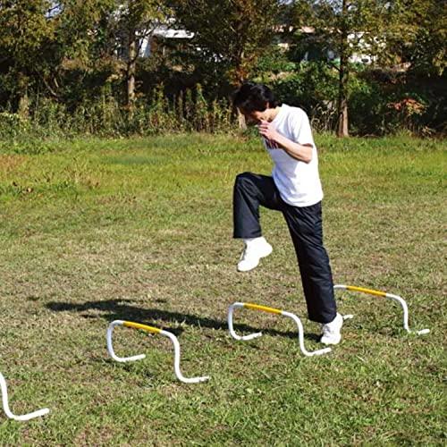 DANNO ダンノ(DANNO) 起上がりハードル D176 : TRAUM - 通販 - Yahoo!ショッピング