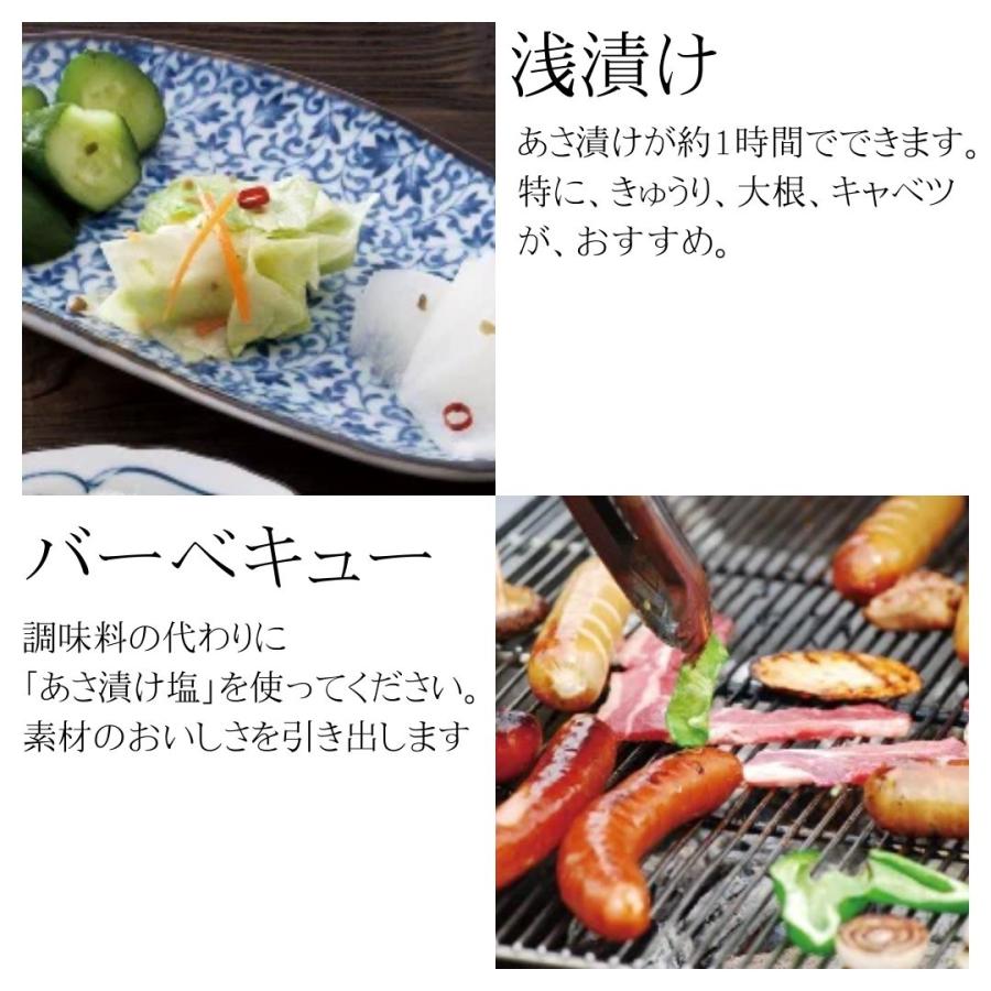 芽かぶ入りあさ漬け塩 280g 2個 自社 :miyage2-zisya:TRAUM - 通販 - Yahoo!ショッピング