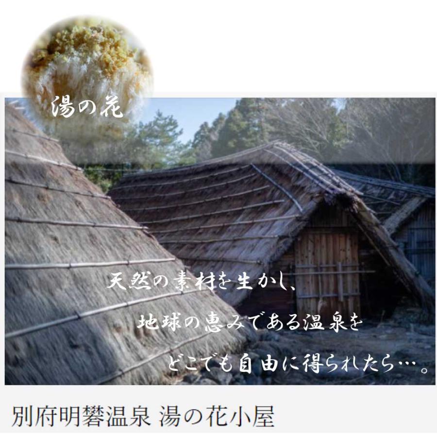 別府温泉 湯の花 入浴剤 ヤングビーナス 湯の花エキス 2200g 薬用入浴剤 2個セット : TRAUM - 通販 - Yahoo!ショッピング