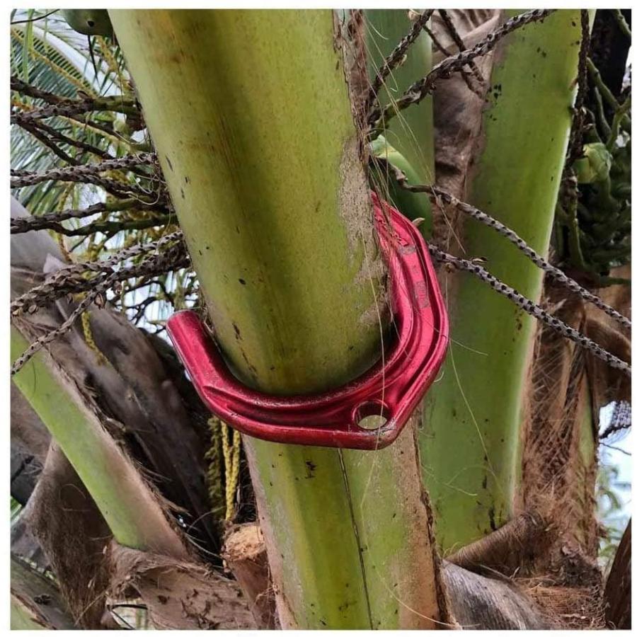 DMM Captain Hook Kit Red キャプテン フック キット レッド キャプテンフック ツリーケア : TREE GEAR ...