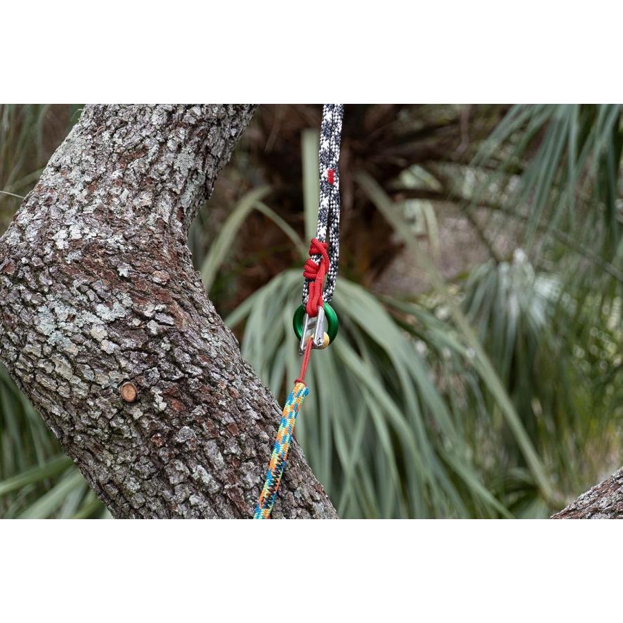 Teufelberger multiTOOL pullDOWN マルチツール プルダウン フリクションセーバー リトリバー ツリーケア アーボリスト ツリークライミング : aq-bve7 ...