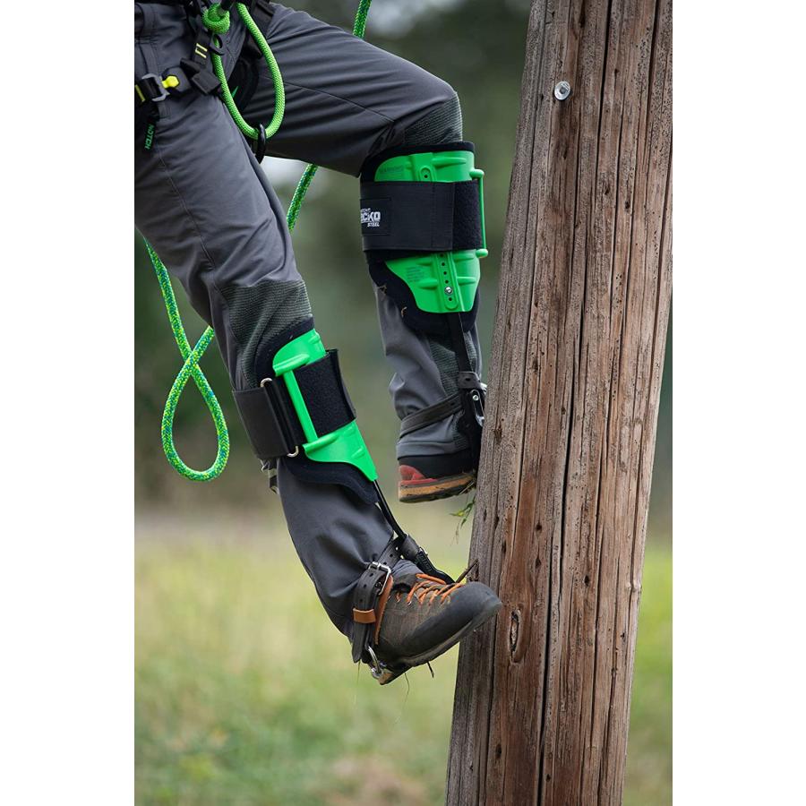 NOTCH GECKO STEEL CLIMBERS ノッチ スチール スパイク 4cm ショートギャフ : TREE GEAR Yahoo ...