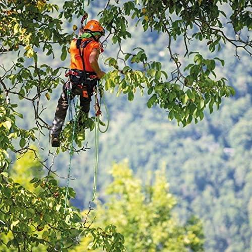 CAMP TREE ACCESS ANSI ST カンプ ツリーアクセス 国内正規品 ツリーケア アーボリスト ハーネス (L-LLL) :O4-ZJV1-LPED:TREE GEAR ...