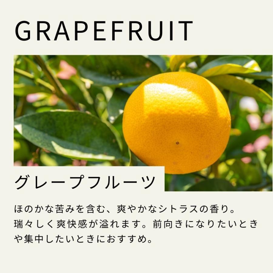 生活の木 公式 グレープフルーツ精油 / Grapefruit 10ml アロマ アロマオイル 精油 エッセンシャルオイル AEAJ表示基準適合認定精油 香り 雑貨 柑橘系 : 生活の木 公式 ...