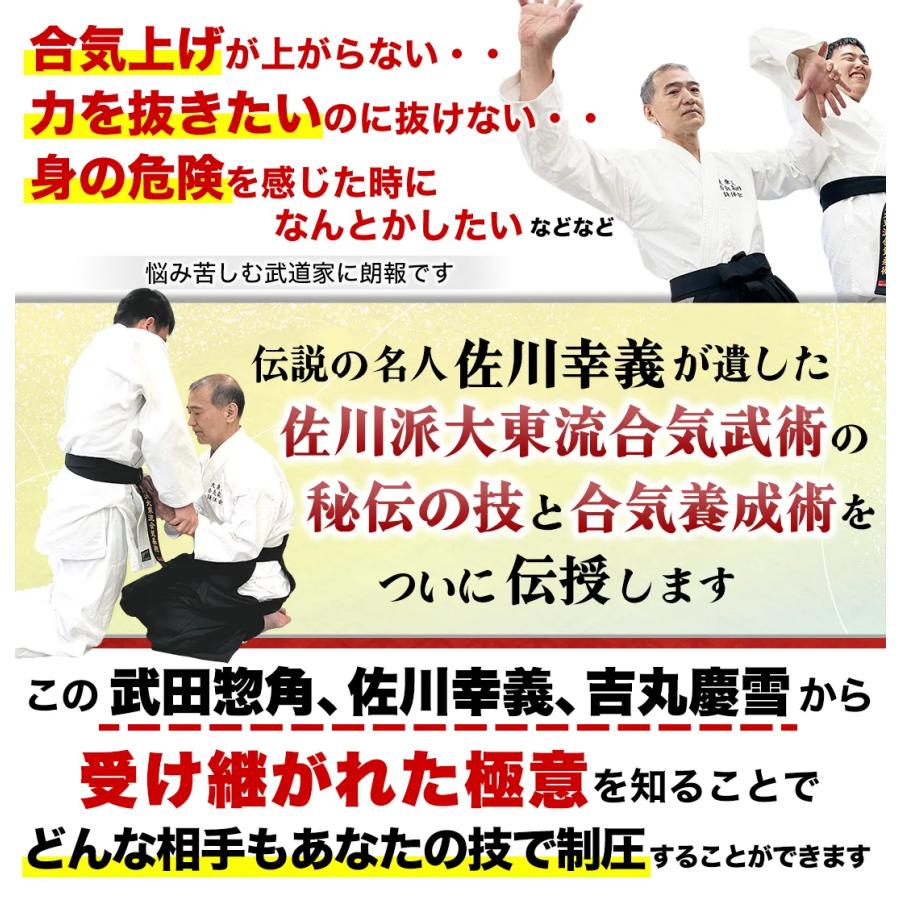 명인·사가와행의가 남긴 비전의 - 비드바이코리아