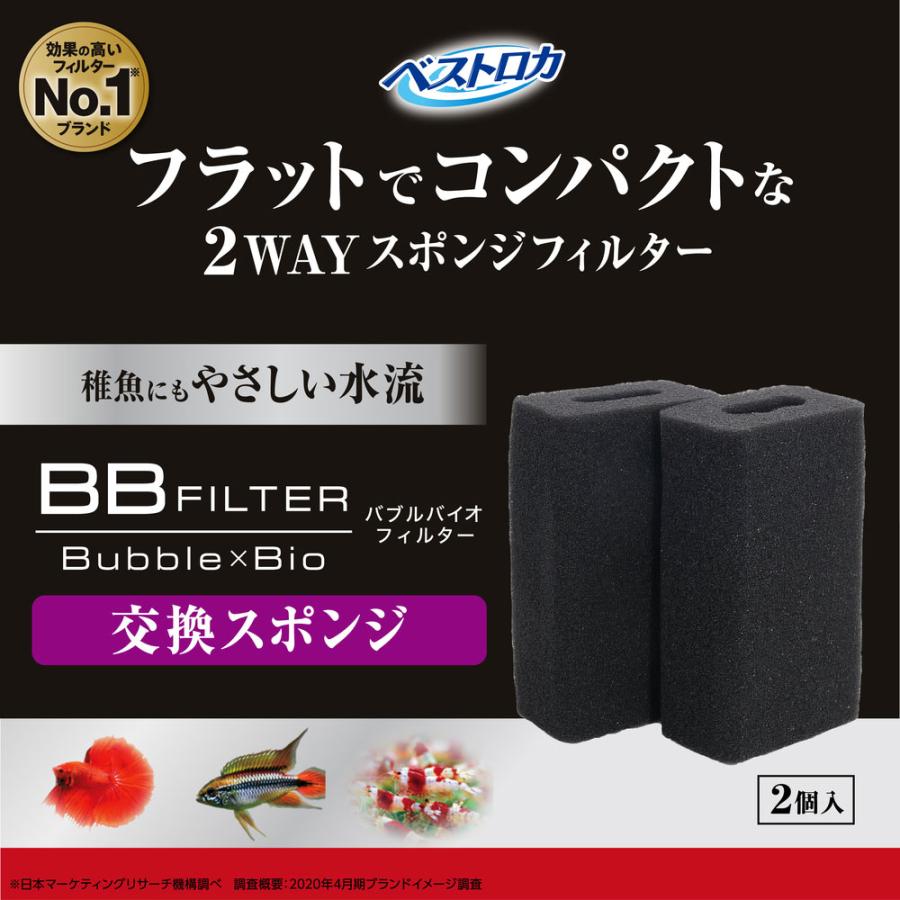 GEX（ジェックス） BBフィルター交換スポンジ 2個入 : トロピカルワールド ヤフー店 - 通販 - Yahoo!ショッピング