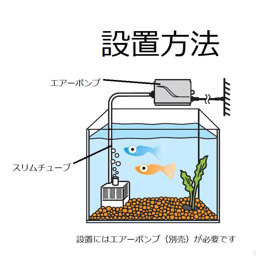 GEX GEX ロカボーイ コンパクト 8L以下水槽用・エアリフト式フィルター : トロピカルワールド ヤフー店 - 通販 - Yahoo!ショッピング