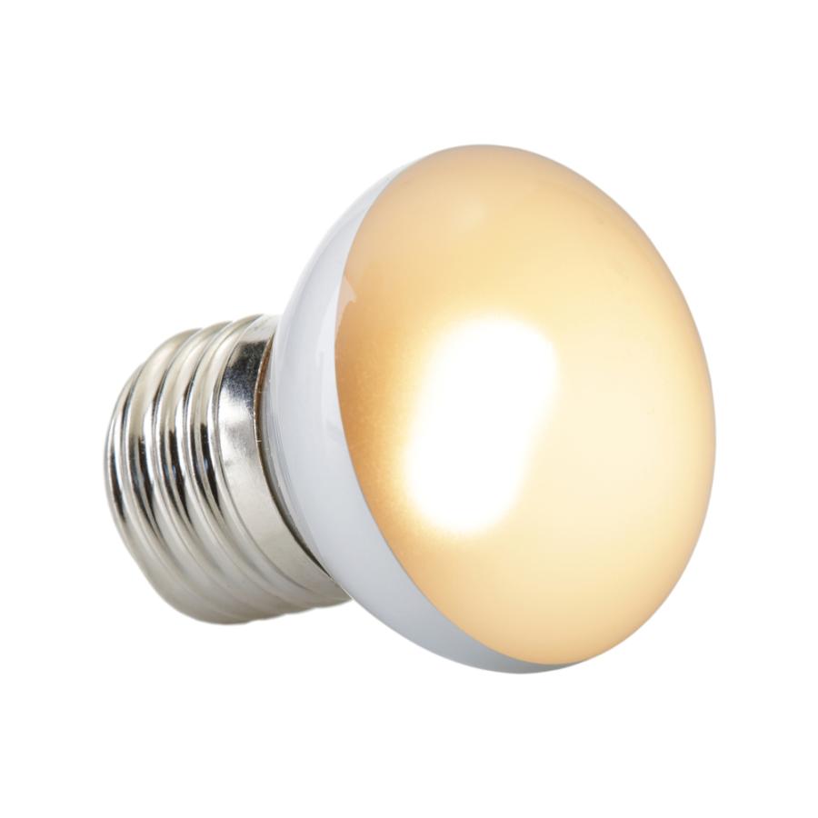 GEX（ジェックス） エキゾテラ サングローナノ バスキングスポットランプ 25W : トロピカルワールド ヤフー店 - 通販 - Yahoo!ショッピング