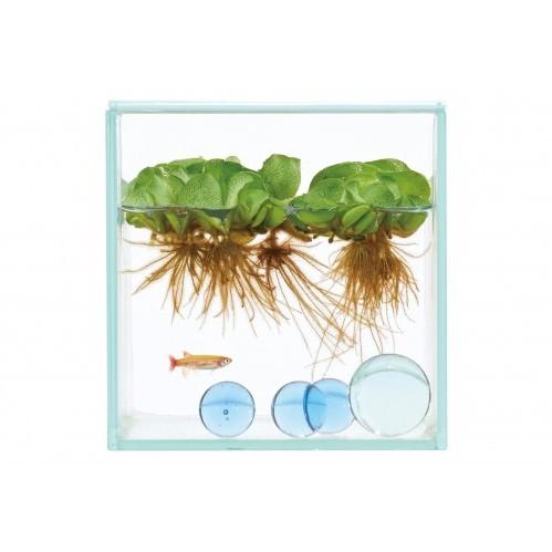 グラステリア GEX グラステリア フィット 100CUBE 小型フレームレス水槽 : トロピカルワールド ヤフー店 - 通販 - Yahoo!ショッピング