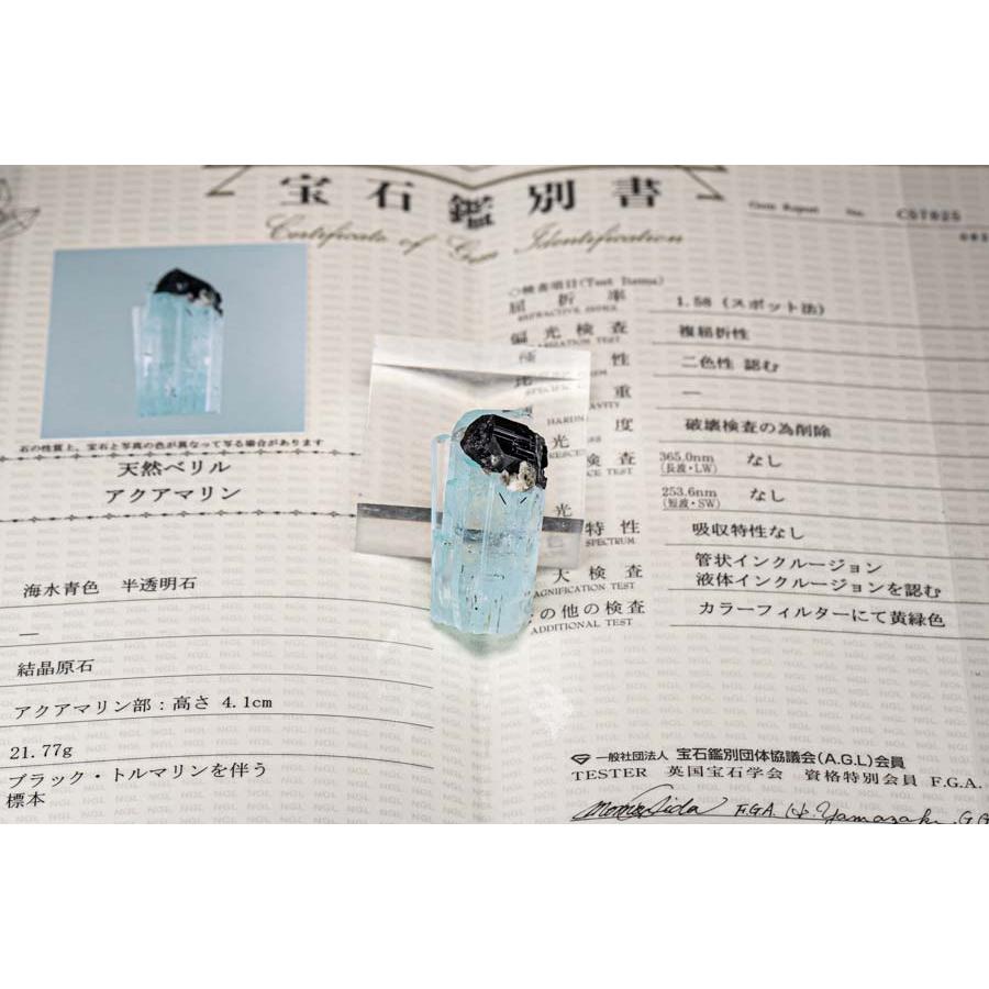 鑑別書付き パキスタン スカルドゥ シガール産 アクアマリン 結晶 21.77g トルマリン共生 ベリル : True Stone - 通販 - Yahoo!ショッピング