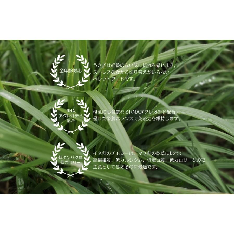 GEX ラビットプレミアムフード 850g うさぎ 餌 ペレット ペット : うさぎ専門店の食彩 TrueGrasses - 通販 - Yahoo!ショッピング