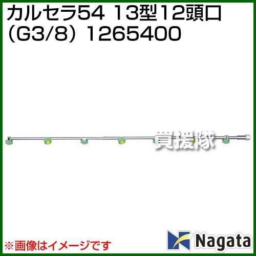 永田製作所 カルセラ54 13型12頭口 G3/8 1265400 :NGT-1265400:買援隊ヤフー店 - 通販 - Yahoo!ショッピング