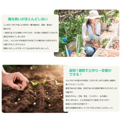 リサール酵産 カルスncr 1kg 10袋セット 合計10kg 土壌改良資材 リサール酵産 カルスncr 1kg 10袋セット 合計10kg 土壌改良資材