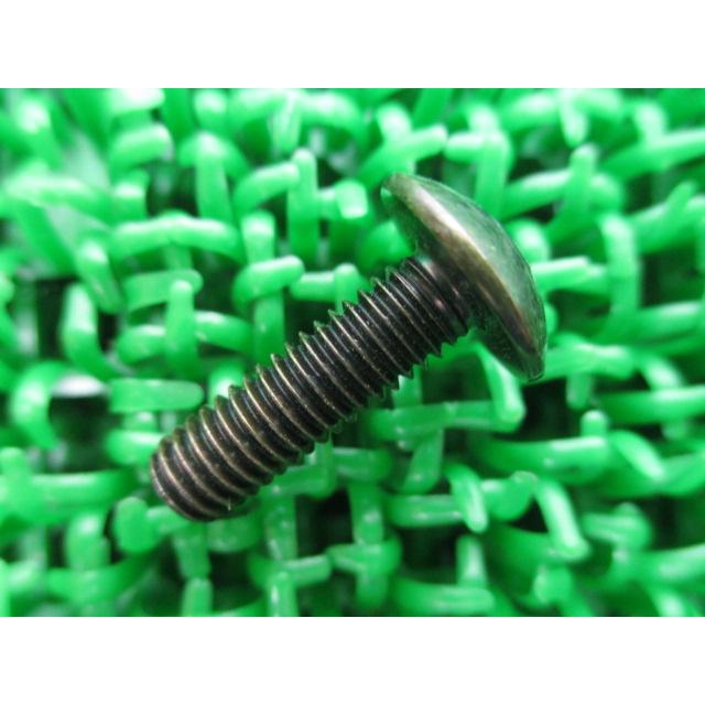 RGV250ガンマ シートカウルスクリュー 02142-06205 在庫有 即納 スズキ 純正 新品 バイク 部品 02142-0620A ...