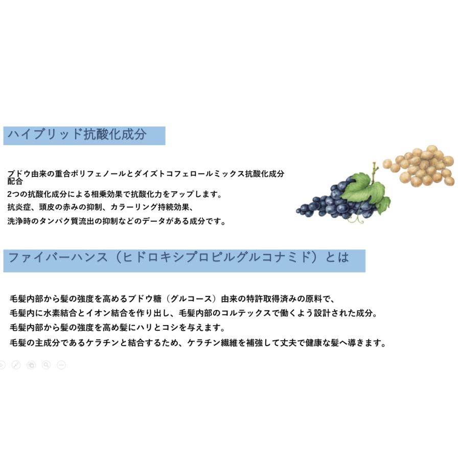 KERAFFECT SHAMPOO ケラフェクトシャンプー 500ml 活性ケラチン ファイバーハンス メーカー認定 :TS2022060402:TSstyle - 通販 - Yahoo!ショッピング