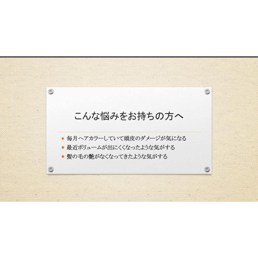 GRAY REVERSE SHAMPOO グレイリバース シャンプー 500mlボトル エイジングケア 頭皮ケア オーガニックケラチン : ts2023020402 : TSstyle ...