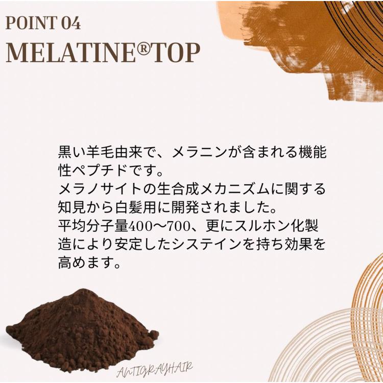 【詰め替えレフィル】グレイリバース スカルプケアローション 300ml GRAY REVERSE エイジングケア 頭皮ケア オーガニックケラチン ヘアケア 男女兼用 正規品 : TSstyle ...