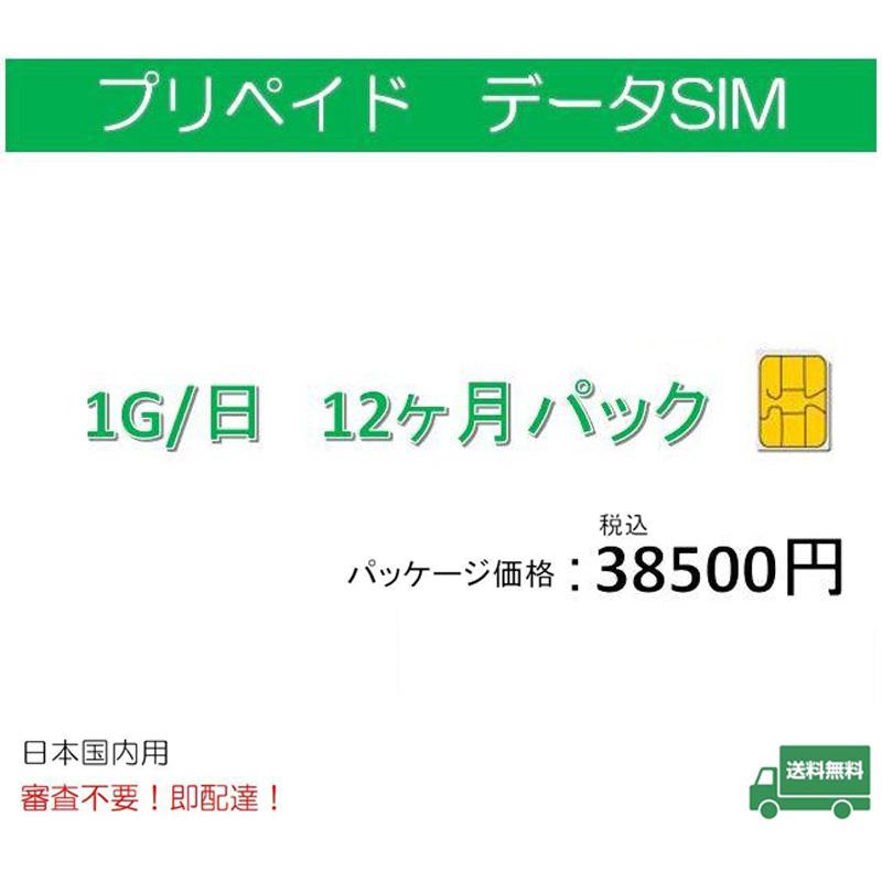 格安SIM docomo モバイルデータ通信専用 4G 日本国内 ドコモ 高速データ容量1G/日 12ヶ月プラン Docomo レンタルSIM ...