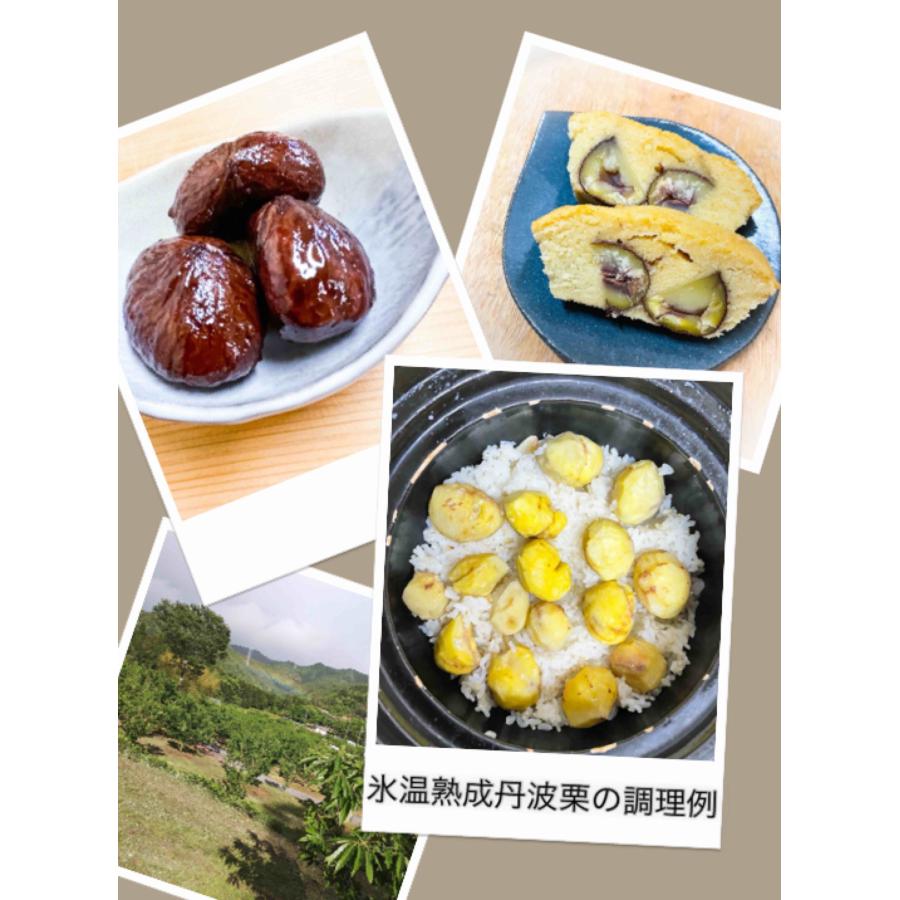 氷温熟成丹波栗 4Lサイズ 1kg（500g×2袋） 兵庫県丹波市産 送料無料 2025年度産栗 産地より直送 : くりえいと丹波 - 通販 - Yahoo!ショッピング