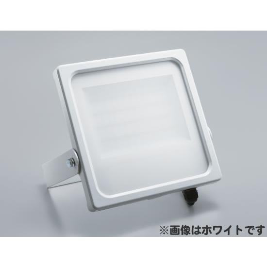 TS-811-40-57-B 屋外用投光器 Floodlight 40Wタイプ CDM-TP70W相当 TS-810-50シリーズ 光色：昼白色 本体色：黒 テス・ライティング 施設照明 ...