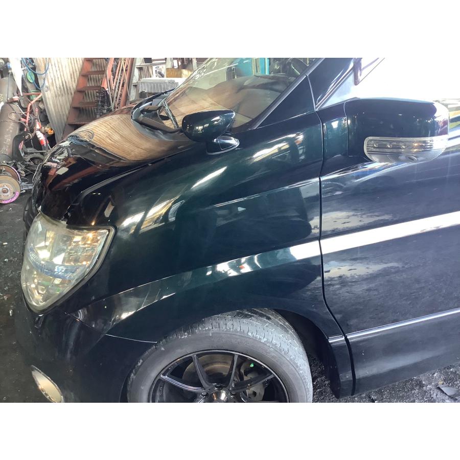H21年 E51(MNE51) エルグランド 左フェンダー プロテクター、フェンダーミラー付 カラーG30 中古品 即決 200028 221214 TK : 辻井商店 2号店 - 通販 ...