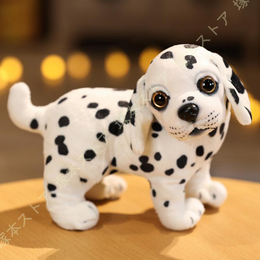 ぬいぐるみ 犬 マルチーズ 犬ぬいぐるみ ファーストトイ 動物 アニマル 子供 男の子 おもちゃ ギフト 装飾工芸品 イヌ 抱き枕 クリスマス お誕生日 : 塚本ストア - 通販 ...