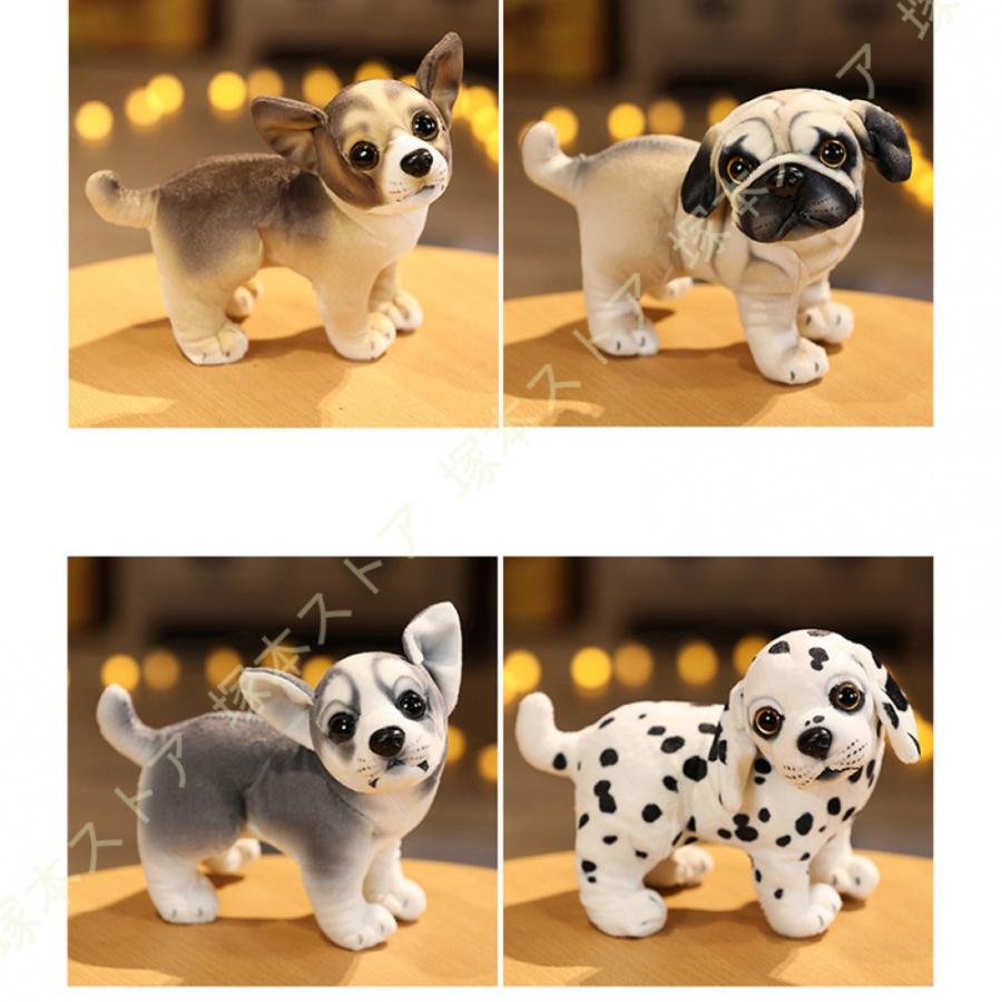 ぬいぐるみ 犬 マルチーズ 犬ぬいぐるみ ファーストトイ 動物 アニマル 子供 男の子 おもちゃ ギフト 装飾工芸品 イヌ おもちゃ 抱き枕 クリスマス お誕生日 :63U-sfJ-NN4Y4 ...