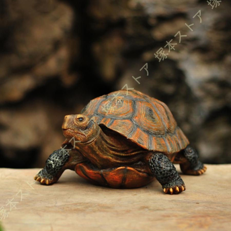 LxRx9 インテリア雑貨 カメ リアル おもちゃ かっこいい オブジェ 池 亀 デコレーション かめ アニマルグッズ 盆栽装飾 アニマル 動物 卓上 転居 置き物 : kd7-20k ...