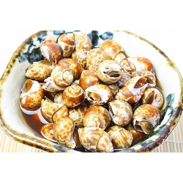 味付けバイ貝1kg ばい貝 : うに カニ まぐろなら築地の王様 - 通販 - Yahoo!ショッピング