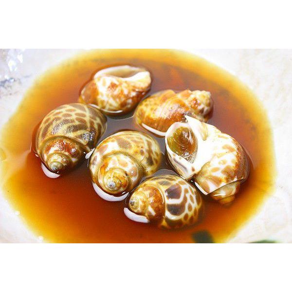 味付けバイ貝1kg ばい貝 : うに カニ まぐろなら築地の王様 - 通販 - Yahoo!ショッピング