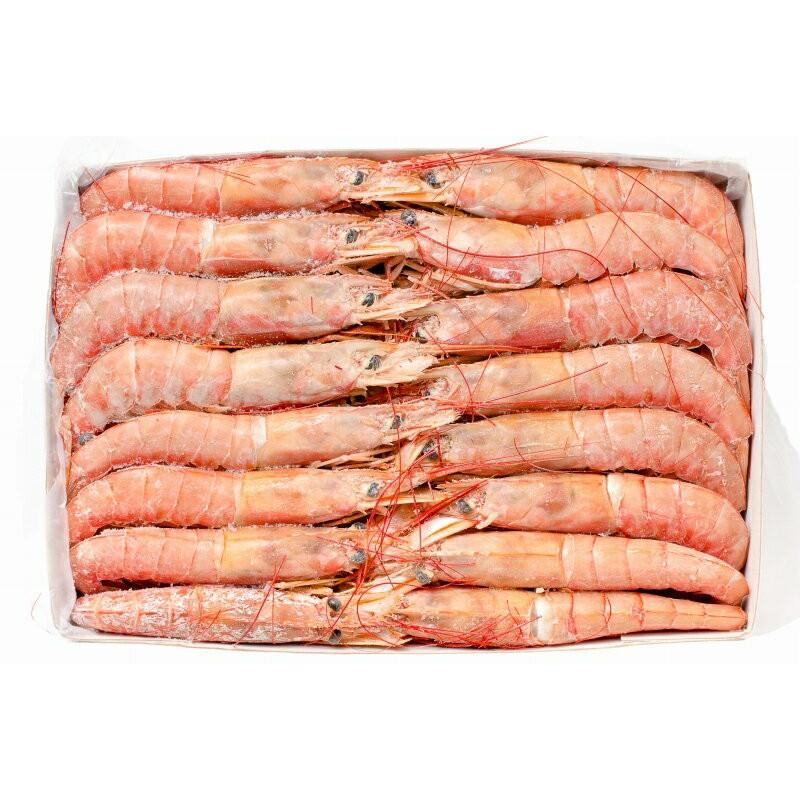 赤海老 赤えび 2kg 特大 L2 40〜60尾 業務用 1箱 赤エビ あかえび アカエビ 寿司 刺身用 :akaebi-l2-1case ...