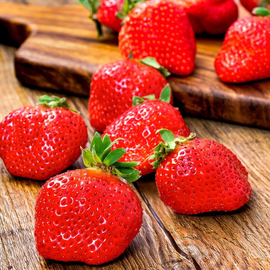 あまおう DX 等級 270g×2パック 合計540g 1箱 2パック入り いちご イチゴ 苺 福岡産 博多あまおう デラックス 大粒 いちごの王様 :amaou-2p:うに カニ まぐろなら ...