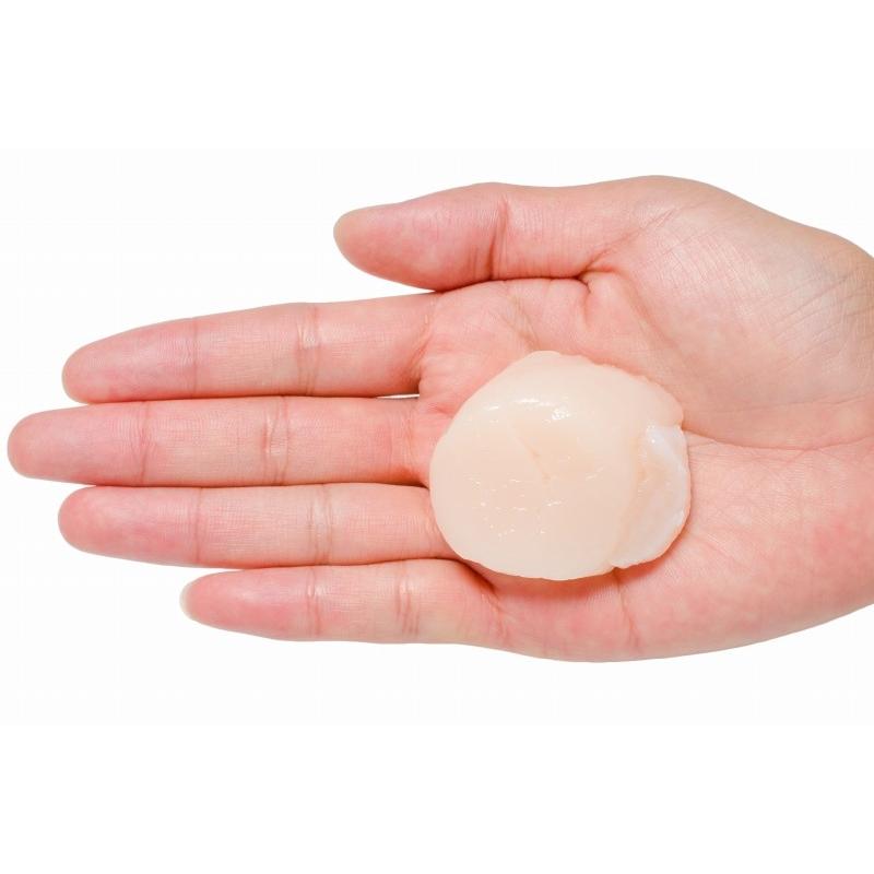 ほたて お刺身用 ホタテ 5Sサイズ 合計1kg 500g×2 (ほたて 帆立 貝柱 玉冷) : うに カニ まぐろなら築地の王様 - 通販 - Yahoo!ショッピング