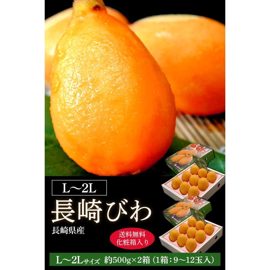 長崎びわ L〜2Lサイズ 約500g×2箱 (1箱：9〜12玉入) 化粧箱 長崎県産 ※冷蔵 送料無料 : 豊洲からの直送便 ヤフー店 - 通販 - Yahoo!ショッピング