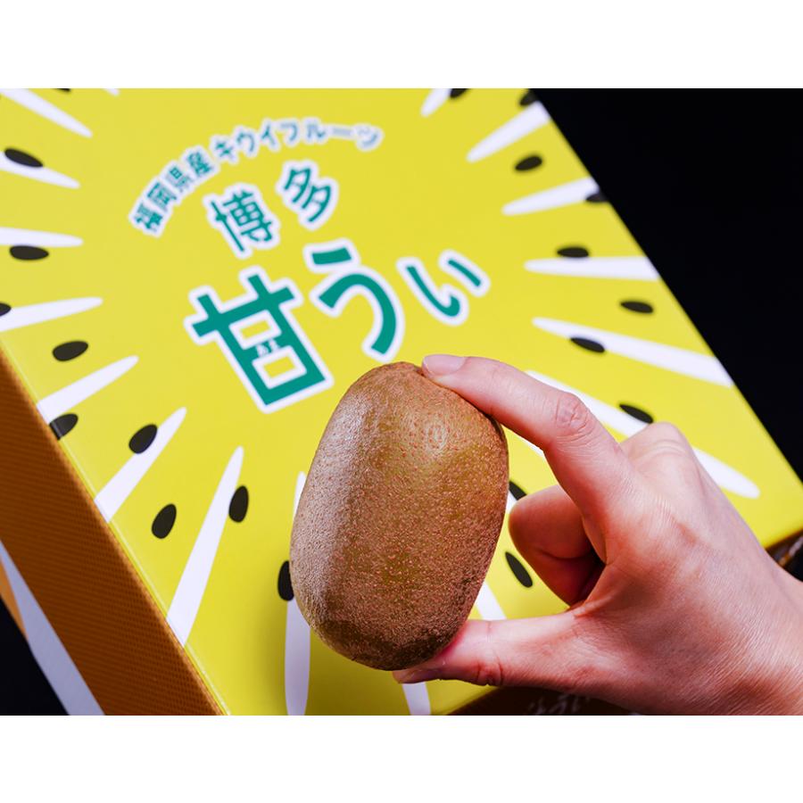 『博多甘うぃ（あまうぃ）』 福岡県産 キウイフルーツ 5L 大玉限定 約1.4kg （9玉） 化粧箱 ※常温 : 豊洲からの直送便 ヤフー店 - 通販 - Yahoo!ショッピング