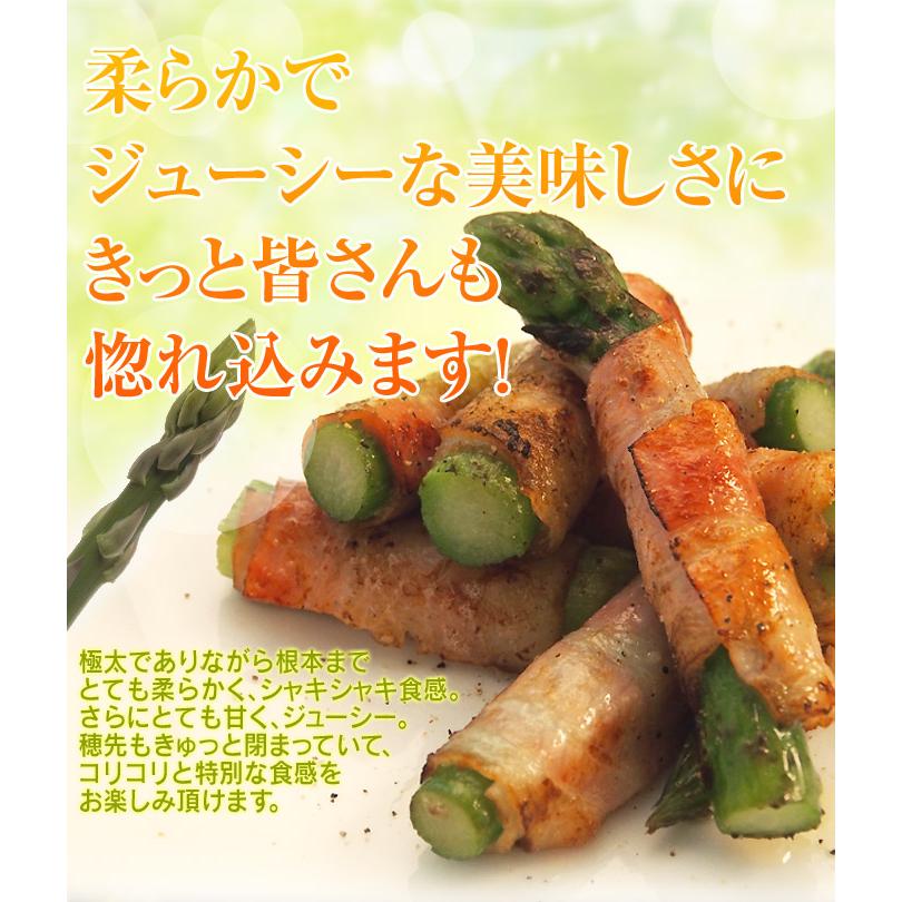 さぬきのめざめ 香川県産 極太 2L 約50cm×5本 (計約450g） アスパラガス ※冷蔵 JA香川県 送料無料 :203i03373:豊洲からの直送便 ヤフー店 - 通販 - Yahoo ...
