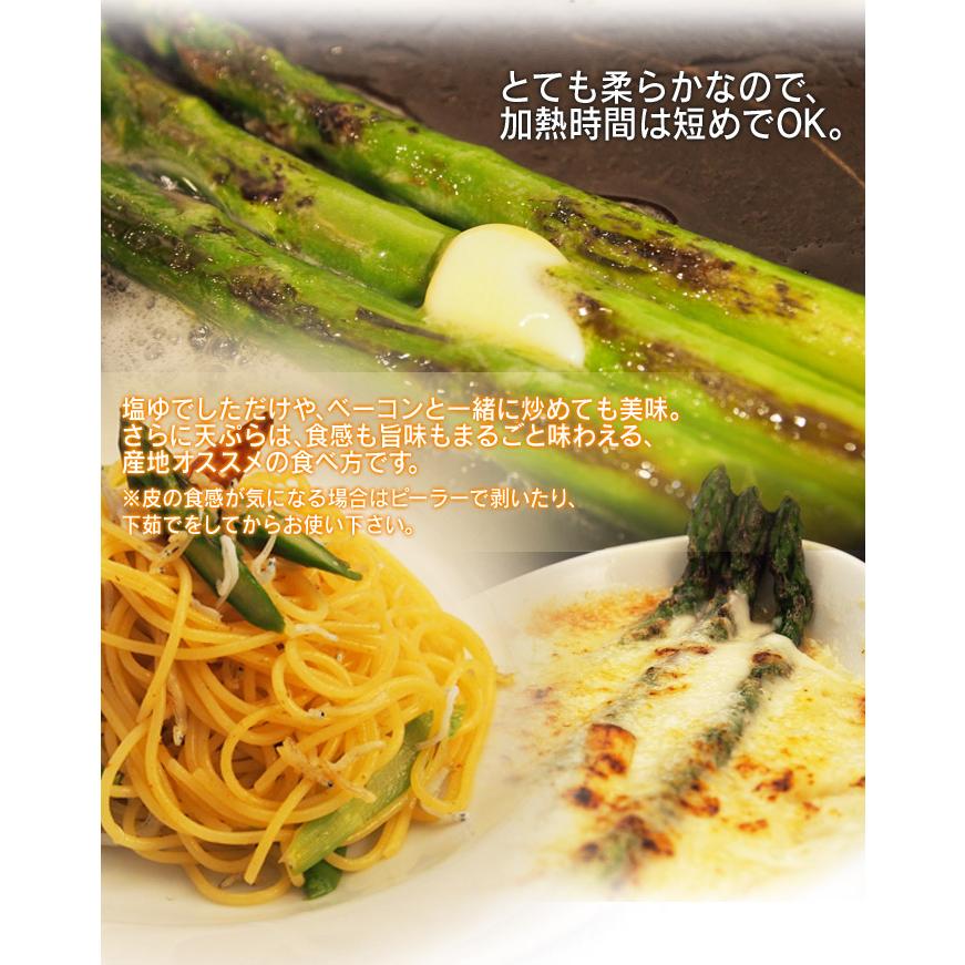 さぬきのめざめ 香川県産 極太 2L 約50cm×5本 (計約450g） アスパラガス ※冷蔵 JA香川県 送料無料 :203i03373:豊洲からの直送便 ヤフー店 - 通販 - Yahoo ...