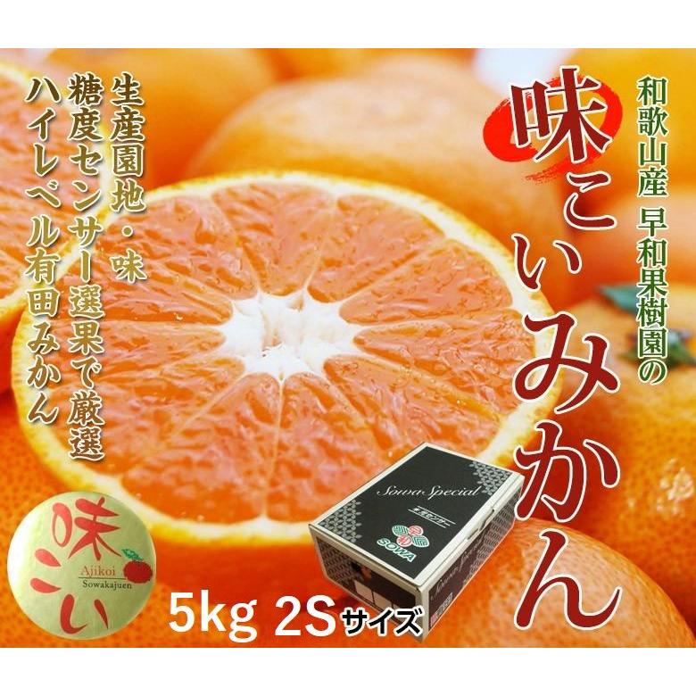 早和果樹園『小玉 味こいみかん』和歌山県産 秀 2S 5kg 産地箱 風袋込 ※常温 送料無料 :204a07193:豊洲からの直送便 ヤフー店 - 通販 - Yahoo!ショッピング