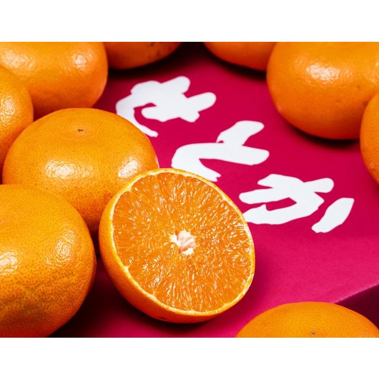 JA糸島 完熟せとか 福岡県産 優〜秀 L〜2L 風袋込 約3kg（12〜14玉）産地箱 ※常温 送料無料 多少のキズ・スレ等あり : s01-024292 : 豊洲からの直送便 ヤフー店 ...