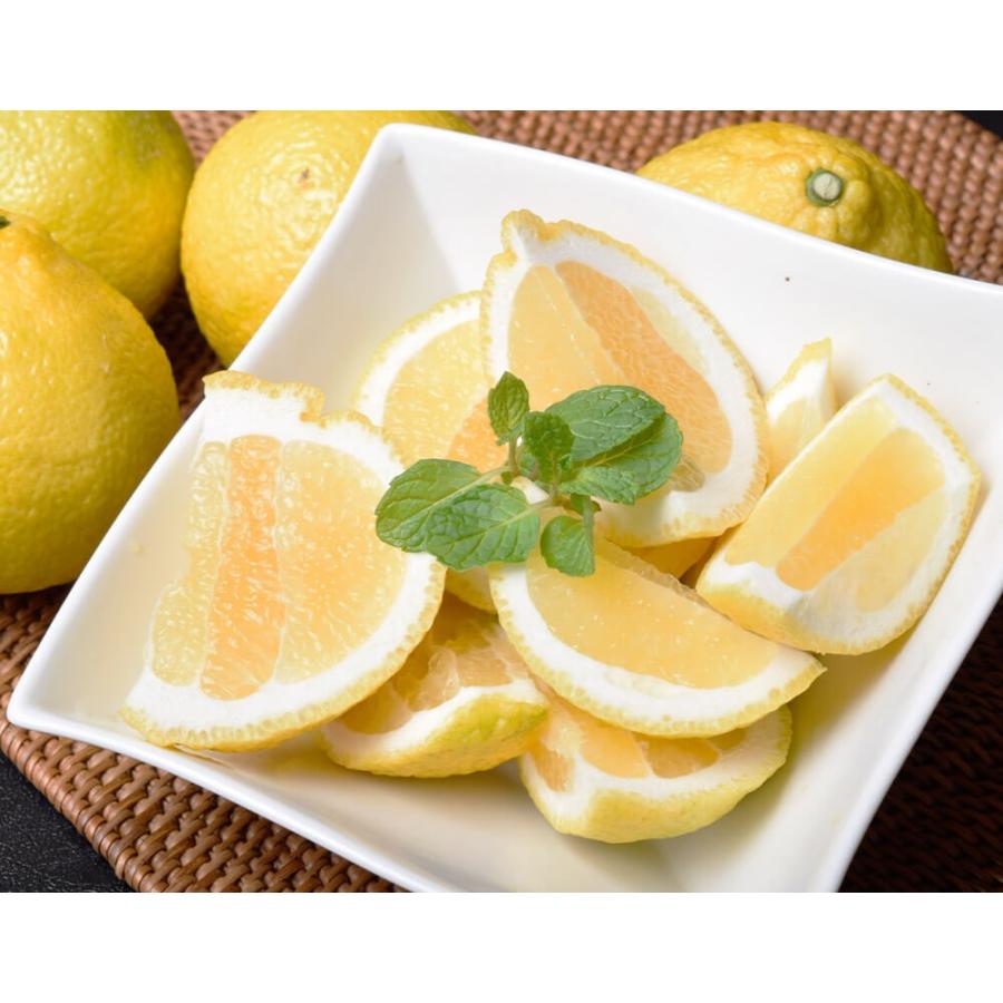 JA蒲郡市 ご自宅用『はるか』愛知県産 L〜2L 約4kg 産地箱 風袋込 ※常温 多少のキズあり 送料無料 : s01-040810 : 豊洲からの直送便 ヤフー店 - 通販 - Yahoo ...