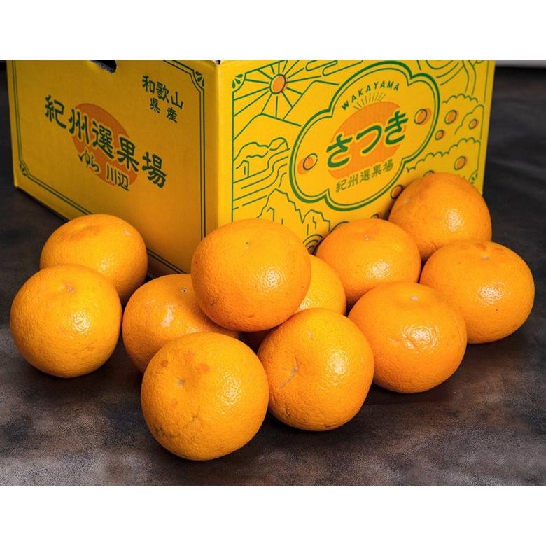 『さつき八朔』和歌山県産 柑橘 L〜4L 9〜10kg 産地箱 風袋込 キズ・スレ等あり ※常温 送料無料 : 豊洲からの直送便 ヤフー店 - 通販 - Yahoo!ショッピング